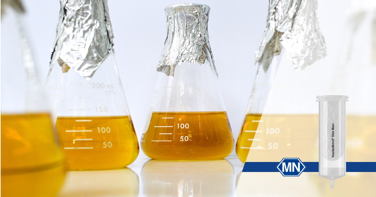 Guided NucleoBond Xtra Maxiprep - Protocol - OneLab